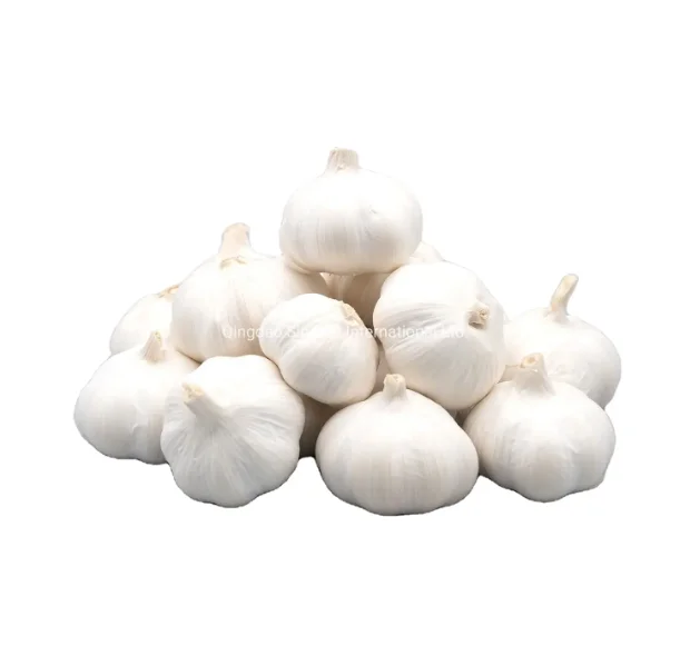 10kg Box Packing Fresh China 2024 Crop Garlic Price/high Quality Fresh ...