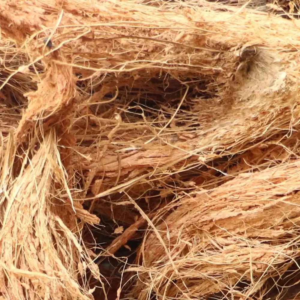 Natural Coconut Husk Fiber Coir Fiber for Mattresses, Ropes, Brushes ...