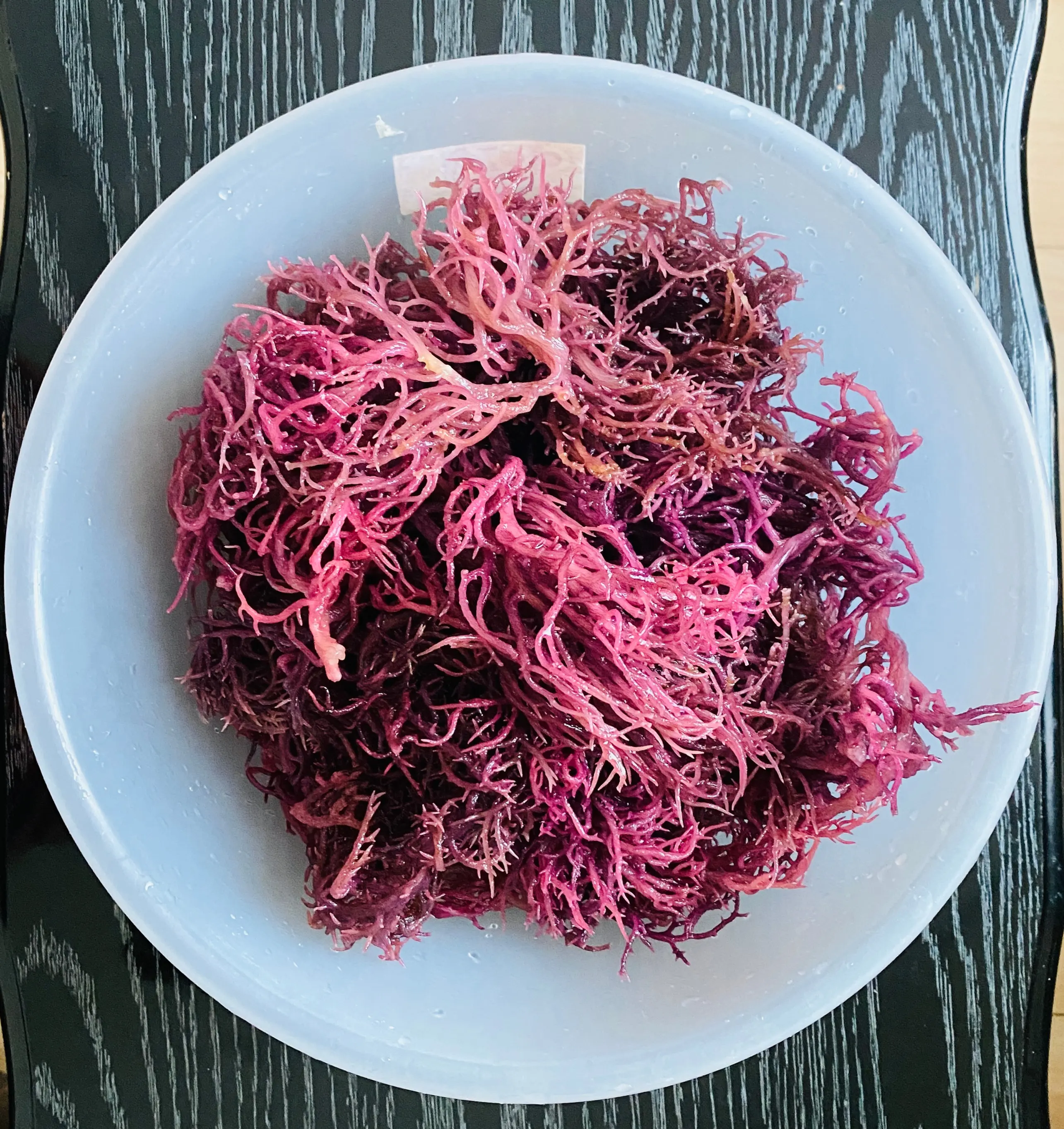 Sea Moss - Source Of Nutrition From The Ocean - Buy Dried Moss Sea Moss ...