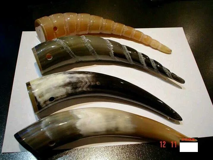 Custom Made Buffalo Horns with Carving Ideal for Use As Drinking Horns ...