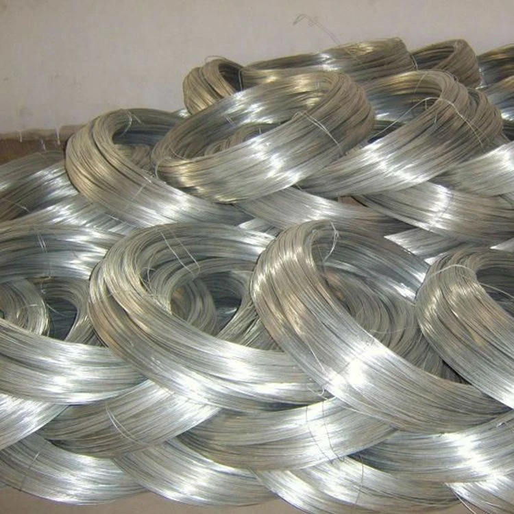 Electrogalvanized Iron Binding Wire Mesh Hot Dipped High Quality Best ...