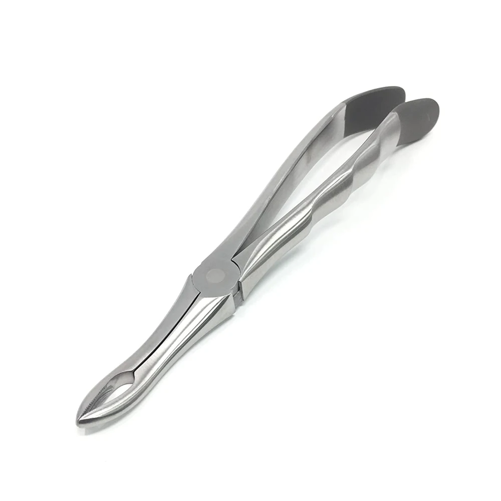 Dental Extraction Forceps Set Stainless Steel Tooth Extracting Forceps ...
