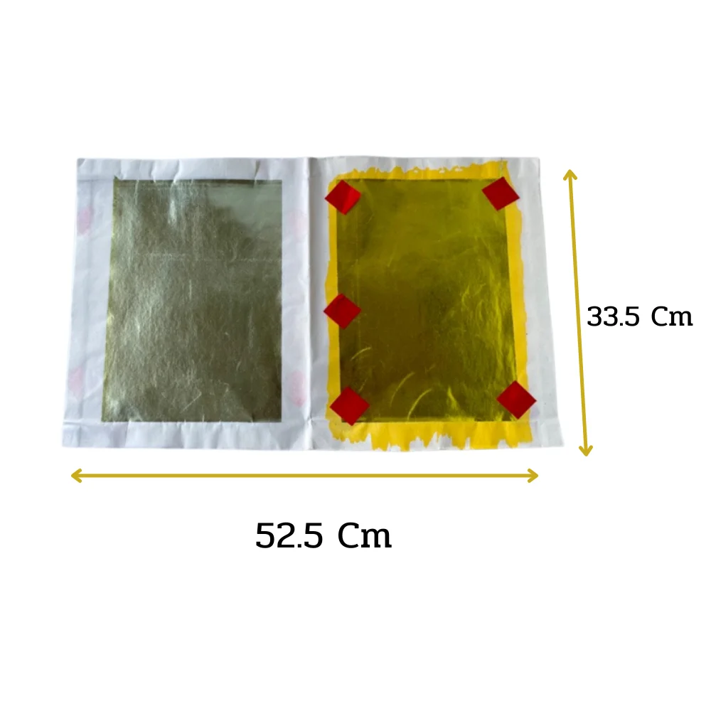 Joss Paper Money Hmong at Jayden Nobbs blog