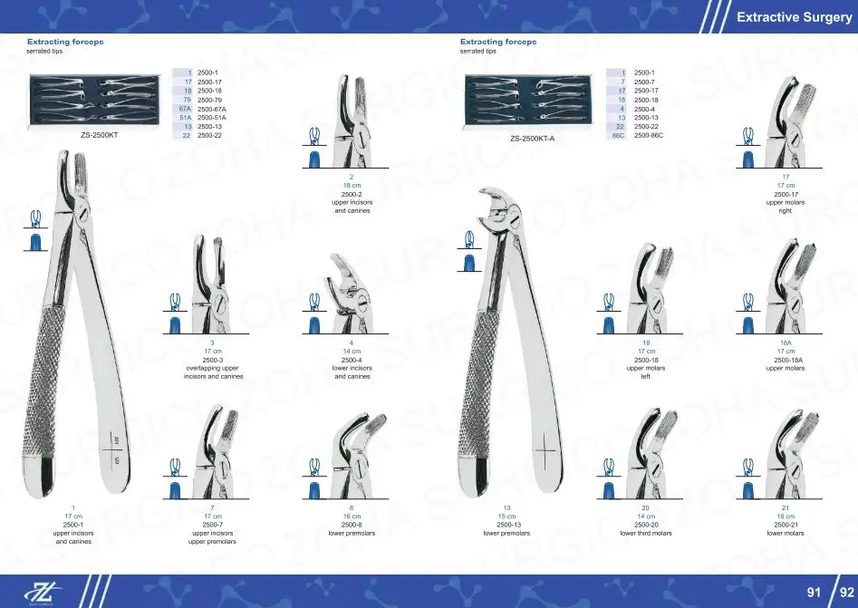 Tooth Extracting Forceps Set Of 10 Pieces Dental Instruments Surgical ...