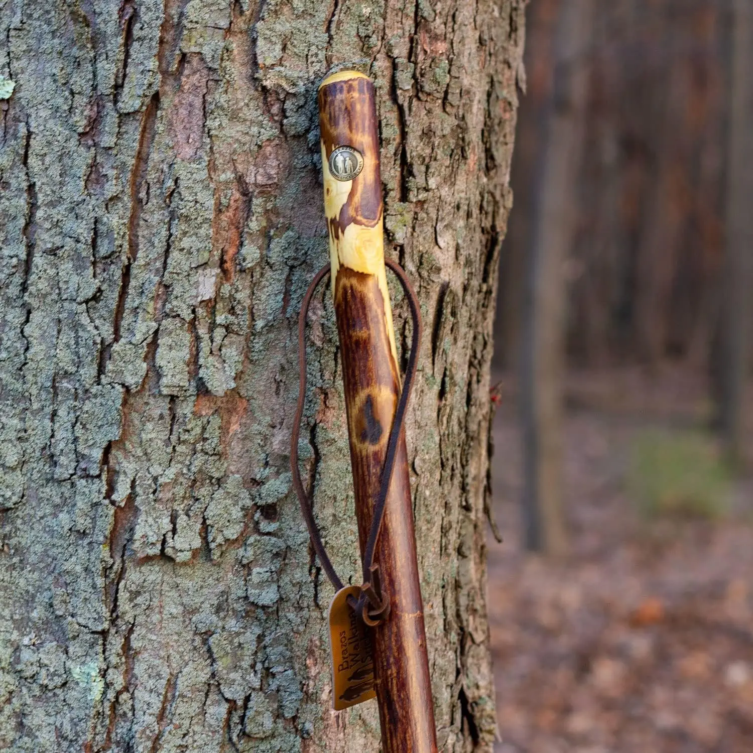 Rustic Wood Walking Stick Hawthorn Traditional Style Handle For Men ...