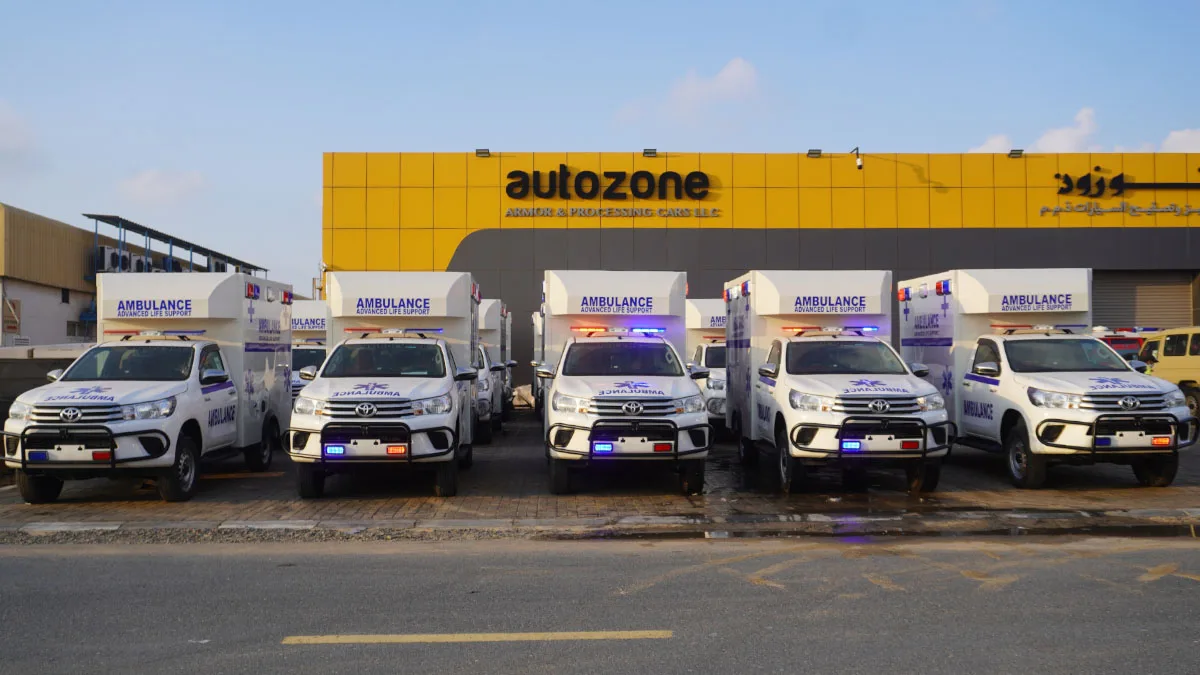 Company Overview - AUTO ZONE ASSEMBLING L.L.C
