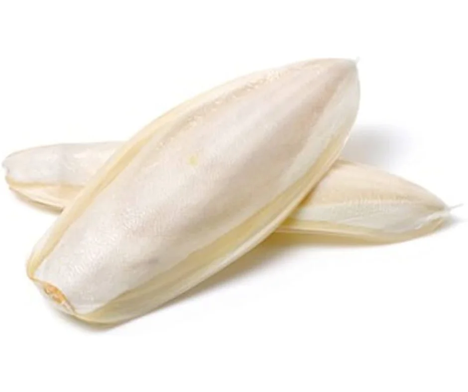 Good Quality Cuttlefish Bone Dry Sepia Bones Dried Exporters And ...