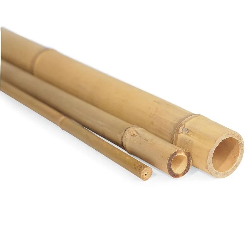 Wholesale Vietnam Bamboo Poles - 100% Natural & Eco-friendly