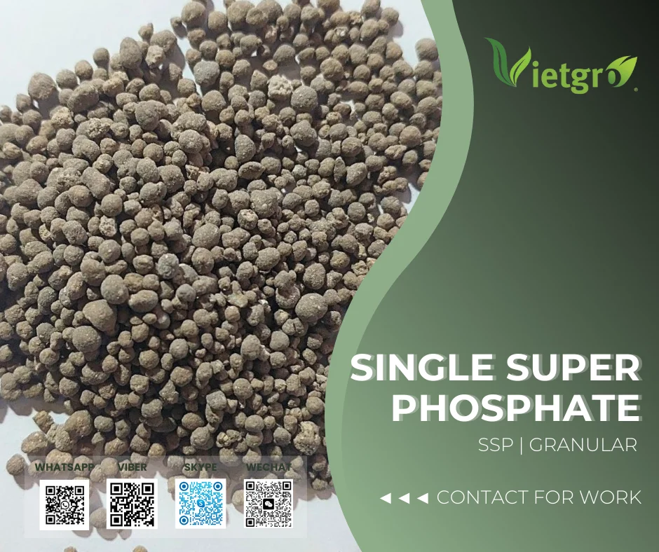 Vietgro - Single Super Phosphate (ssp Fertilizer) - Granular - Buy ...
