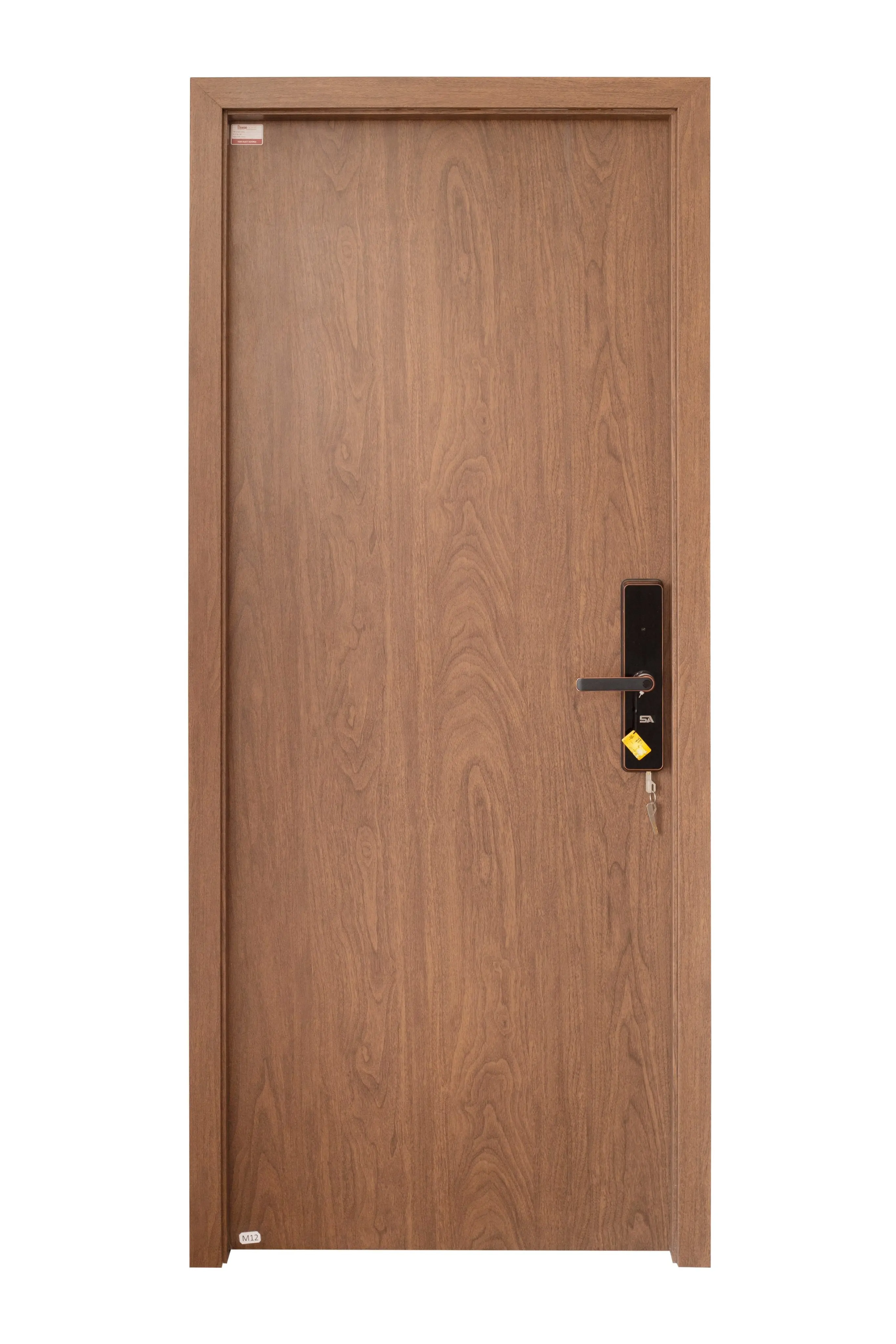 Dewoo Door Composites And Abs Doors Top Manufacturing Composite ...