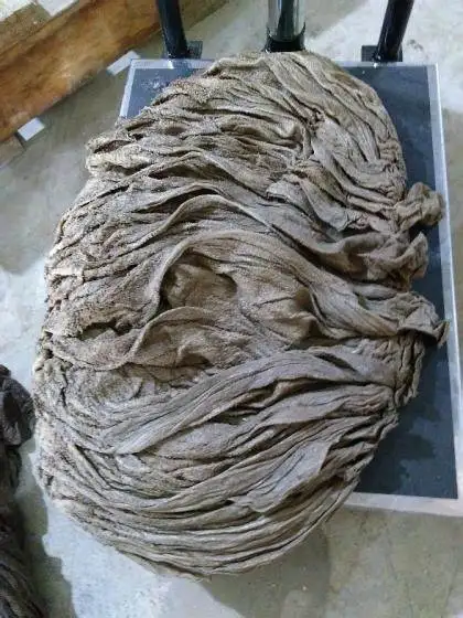 Salted Beef Omasum - Premium Buffalo Organs for Human Consumption