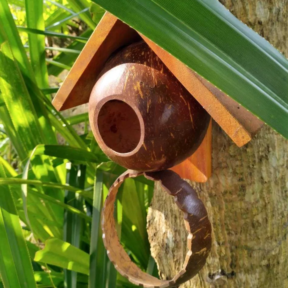 Top Trending New Arrival Natural Coconut Shell Bird Cage Hanging Nest ...