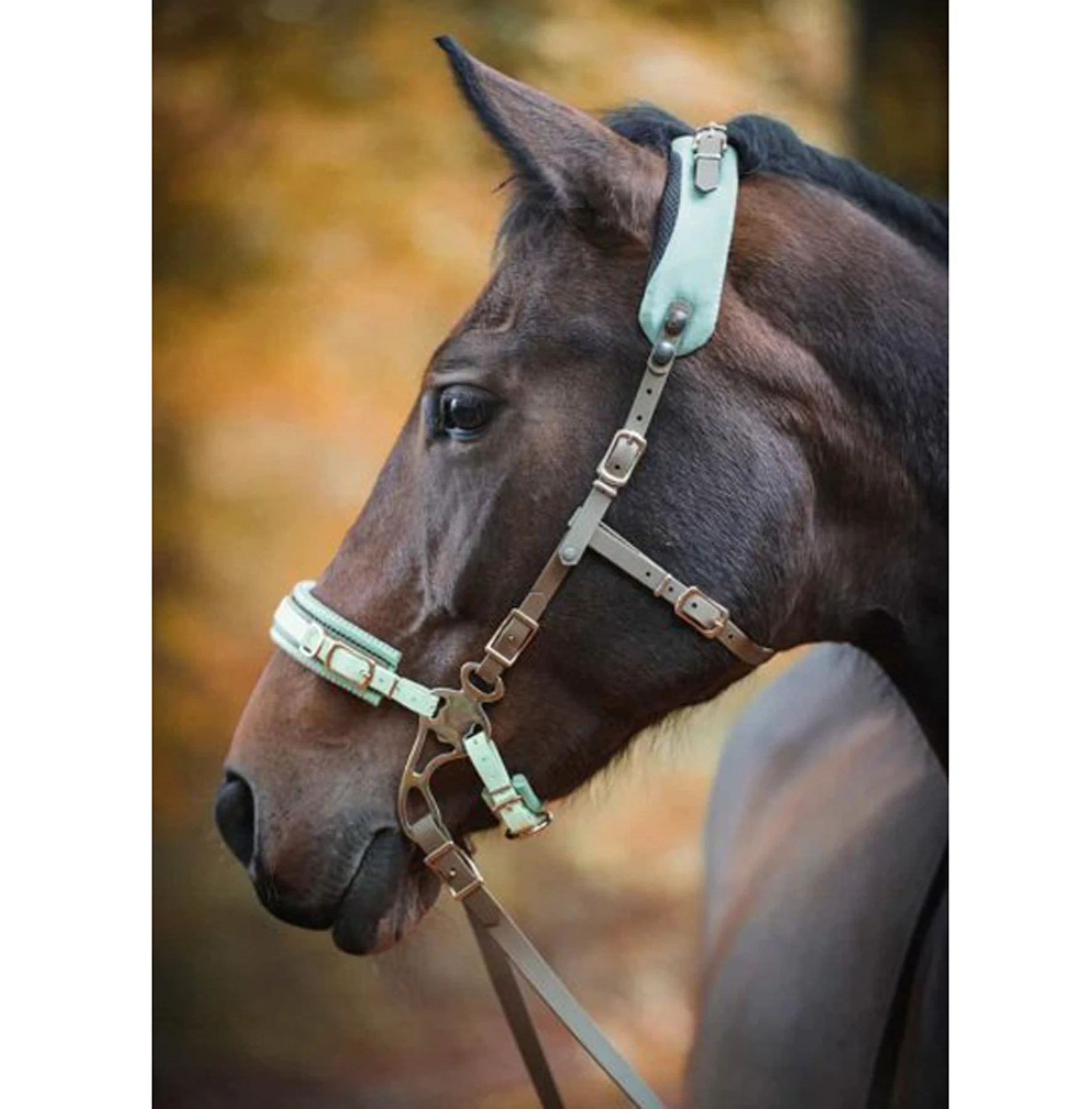 Endurance Luxury Vegan Leather Horse Nylon Biothane Bridle Pvc ...