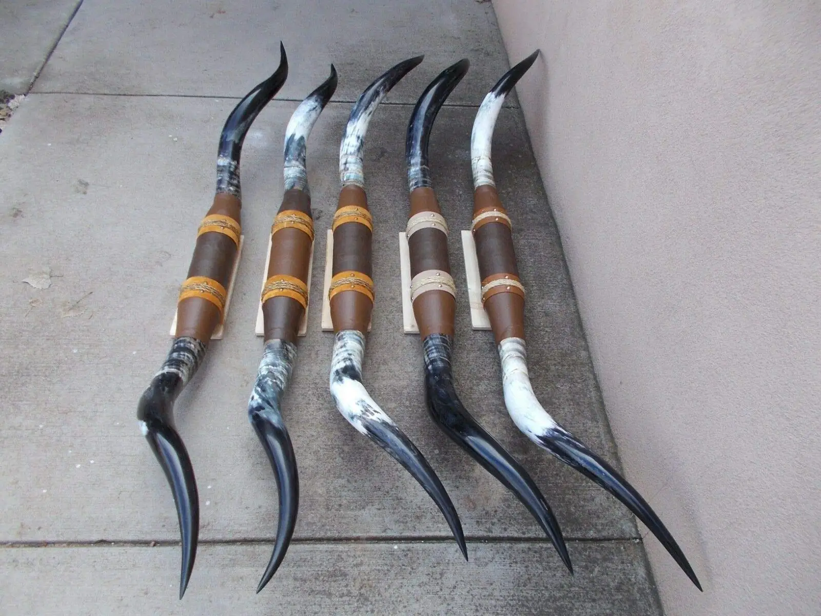 Mounted Bull Buffalo Horn Made Mounted Wall Decor Cow Horn Mounted ...