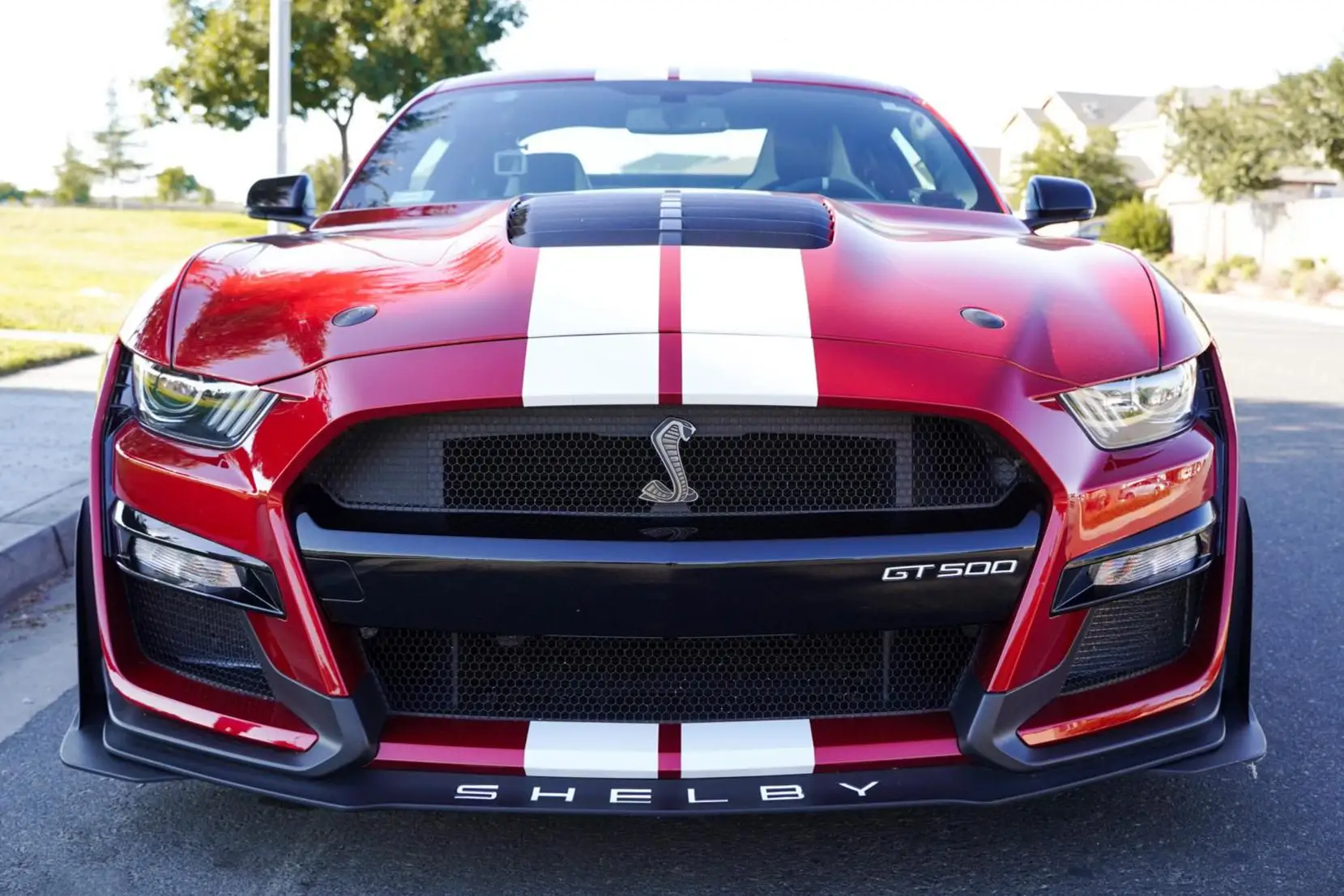 Perfect Condition Used 2021 F-o-r-d Mustang Shelby GT500| Alibaba.com