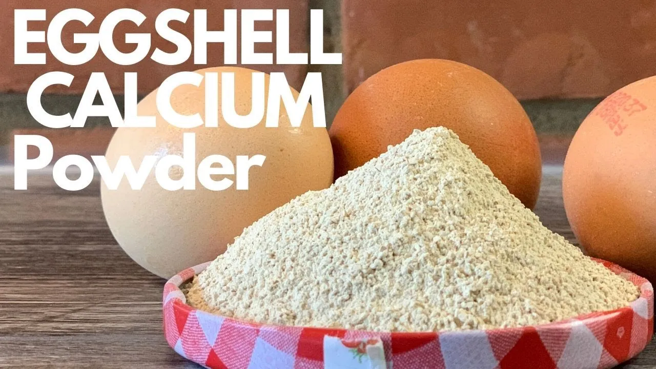 Organic Eggshell Powder - Granular Exfoliator Rich in Calcium for ...