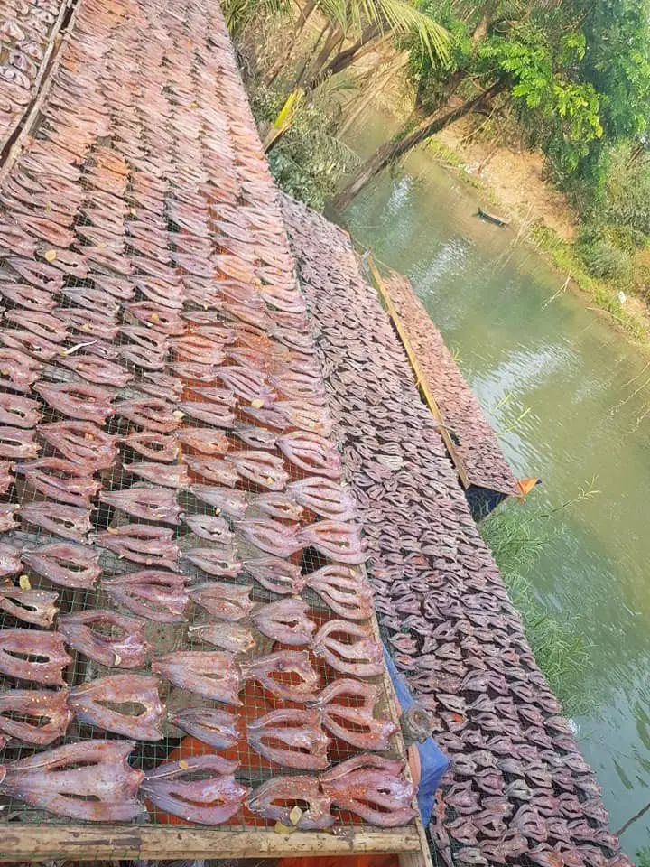 Dried Snakehead Fish - High Quality Seafood from Vietnam