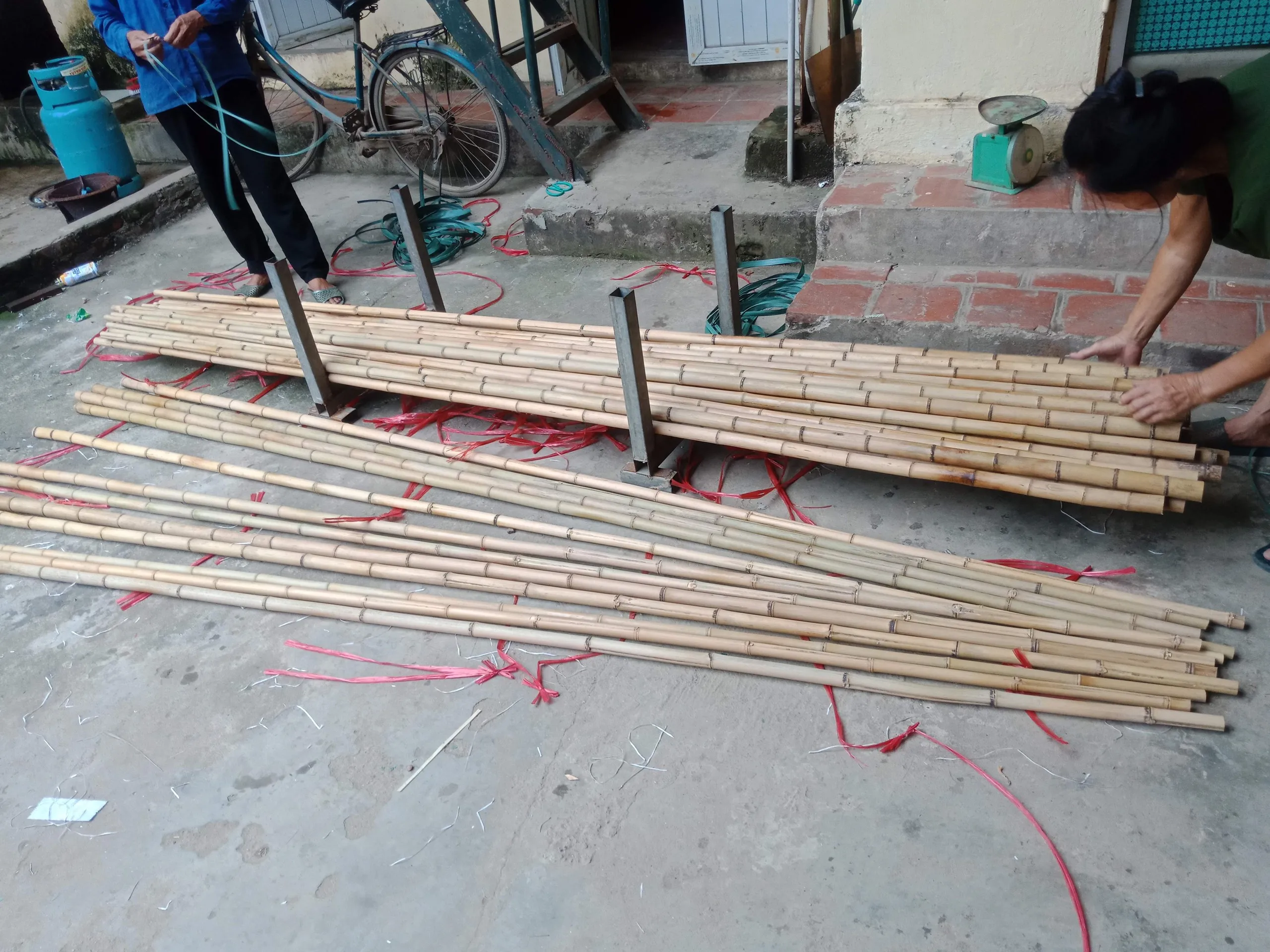 Bamboo Sticks Bamboo Poles Bambu Origin Vietnam for Construction, Farm ...