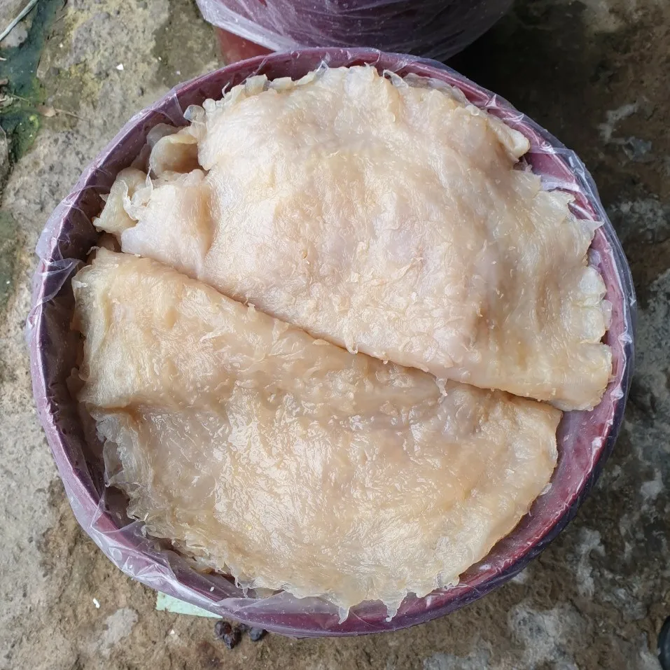 Salted Jellyfish Delicious Seafood Agriculture Product Salted Jellyfish ...