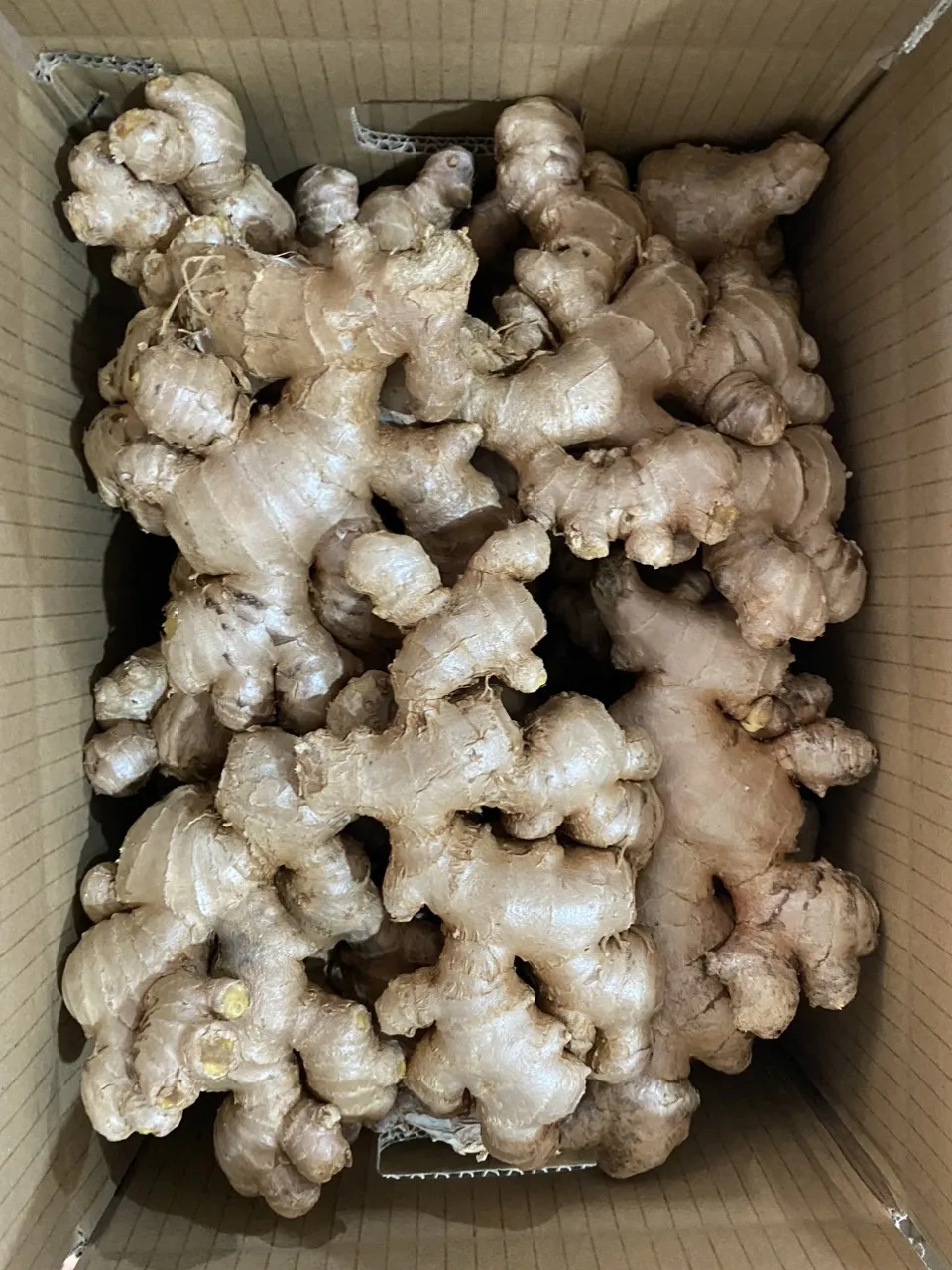 Fresh Ginger Varieties Mature Newest Crop Fresh Ginger Vietnam ...