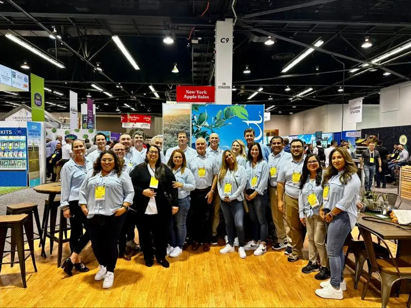 Multipurpose White Report A4 90g/m Size Office Printing Paper /ppc A4 ...