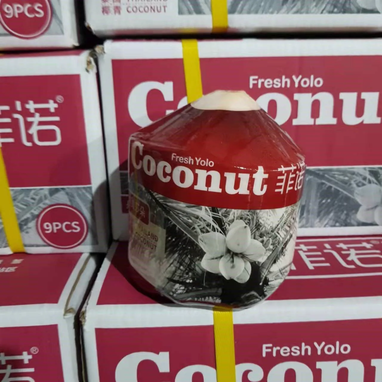 Thai Coconut Tender Sweet Coconut Thailand - Buy Coconut Fresh Fruit ...