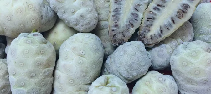 Wholesale Frozen Fresh Noni Fruit Bulk High Quality - Buy Frozen Noni ...
