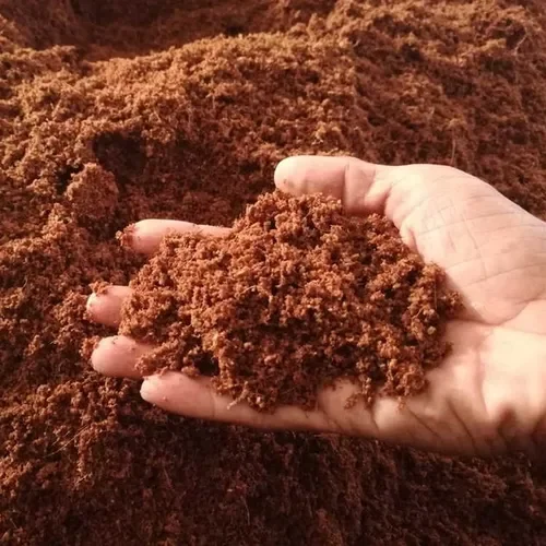 Hot Sell 2024 Biodegradable Coco Peat Loose Low Ec Substrate Soil ...
