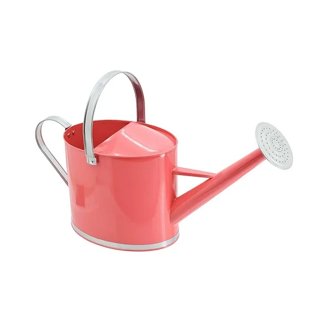 Indoor And Outdoor Water Cane New Arrival Home Decoration Garden ...