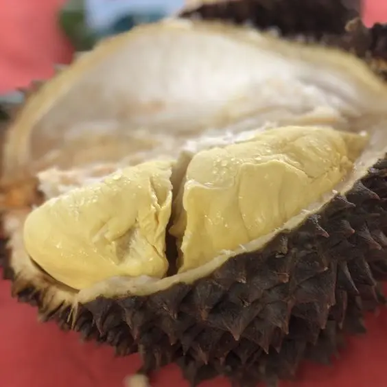 Whole Durian Frozen Durian Ri6 Vietnamese Fruit High Quality 100% Fresh ...