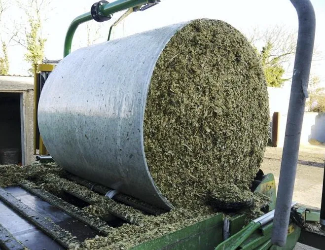 Wholesale High Quality Corn(maize) Silage Animal Feed Rich Of Proteins ...