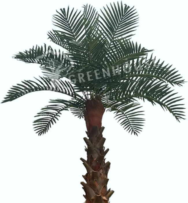 Artificial Date Palm Tree With Natural Preserve Leaf For Indoor ...