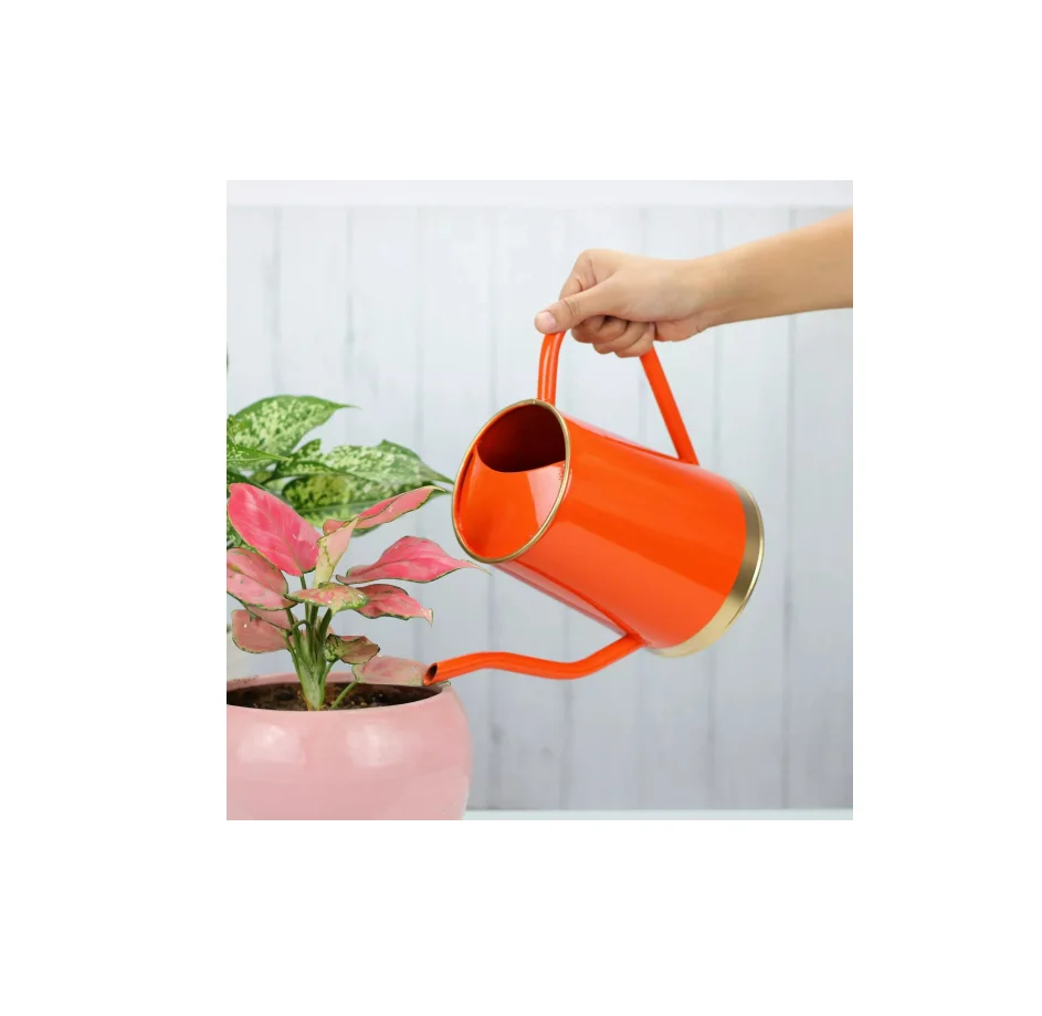 Decorative Metal Water Cane Classic Design Popular Hot Selling Metal ...