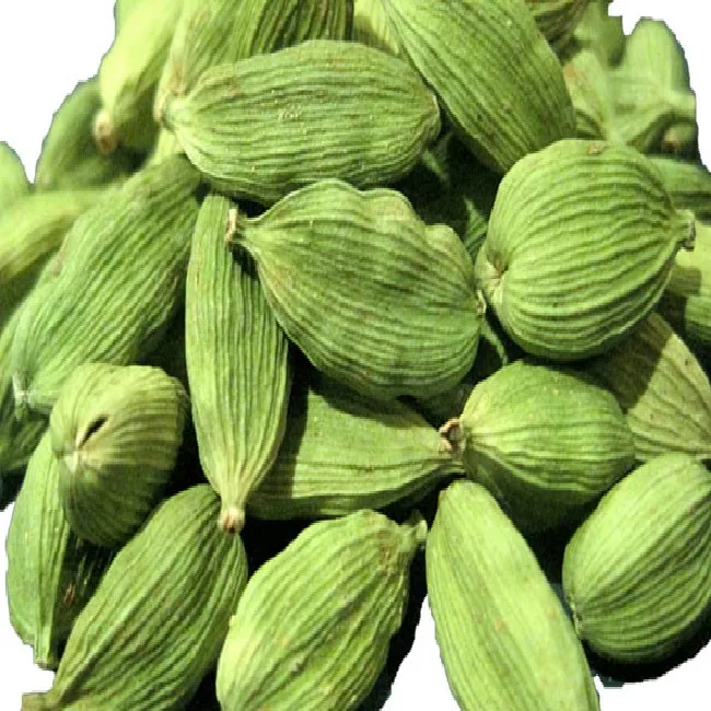 Cardamom Wholesale Single Spices Herbs / Cardamom Wholesale Dried ...