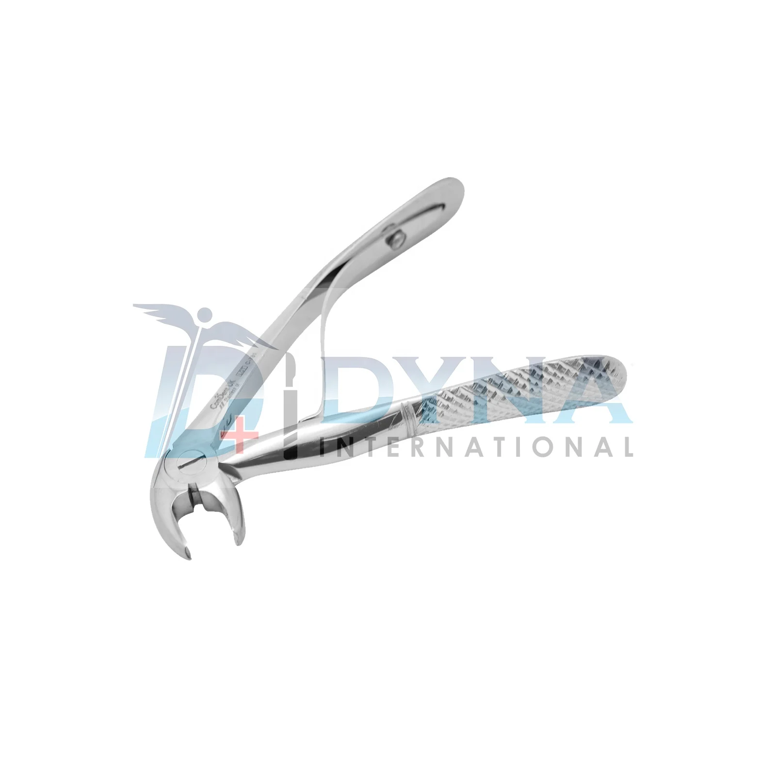 Stainless Steel Dental Extracting Forceps Fig 6 Klein - Lower Molars ...