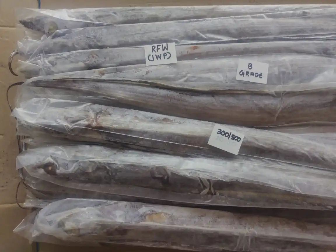 冷冻全丝带鱼b级iwp包装优质材料价格合理 - Buy 鲯鳅鱼带鱼整个,价格对带鱼冷冻鲯鳅鱼,带鱼价格b级带鱼 Product on ...