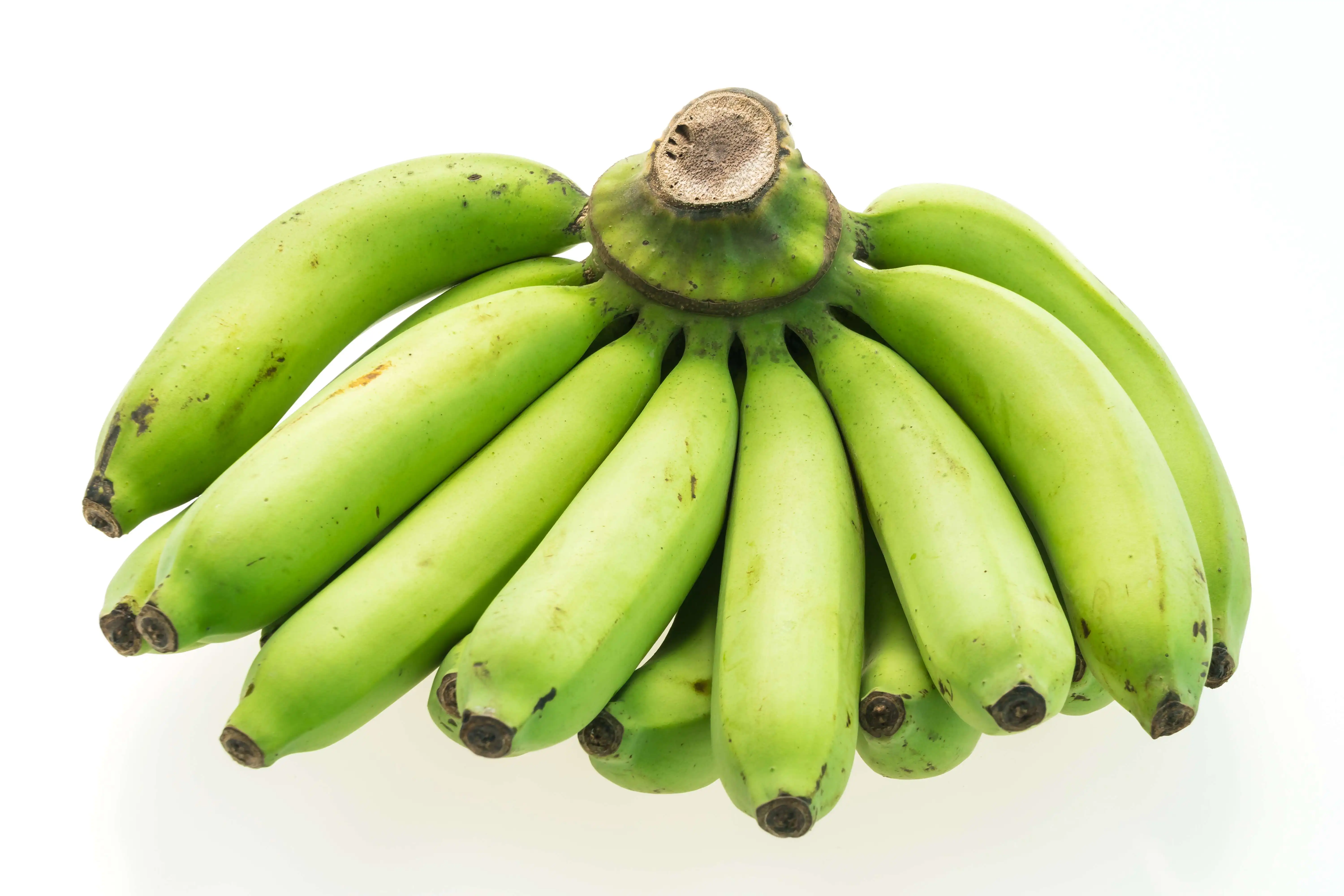 Fresh Green Bananas For Sale Tropical Fruit Fresh Style Banana Ready To ...