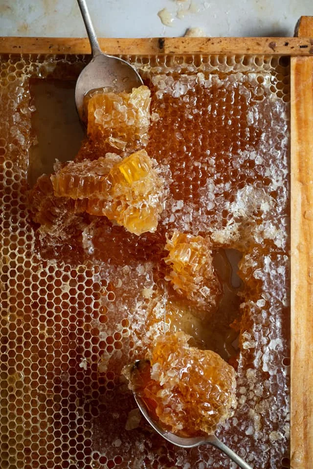Vietnam Pure Raw Honey Comb - Premium Organic Bee Harvest