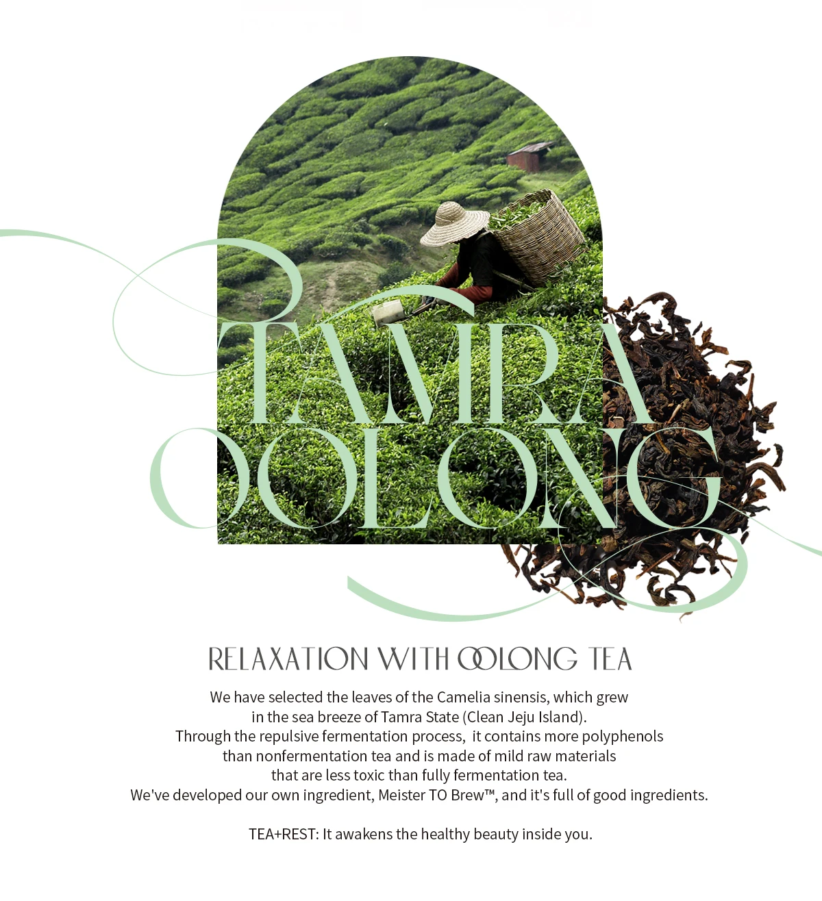 Classy Plan Tamra Oolong Toner Korean Cosmetics Face Care Skin Care Beauty Moisturizing ...