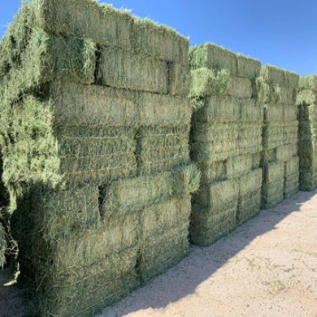 Alfalfa Hay For Animal Feed At Wholesale Price Alfalfa Hay - Buy High ...