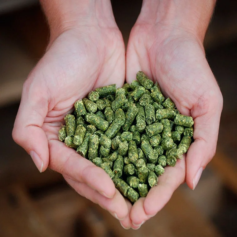 Alfalfa Hay,Buy Alfalfa Hay Bales,Alfalfa Hay Pellets High Quality ...