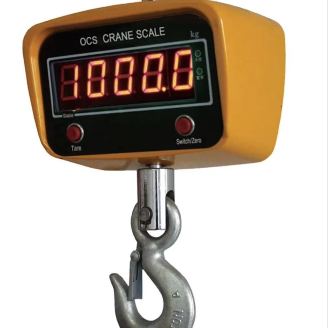 Heavy-Duty Electronic Hanging Bathroom Scales 500 kg & 100 kg Capacity ...