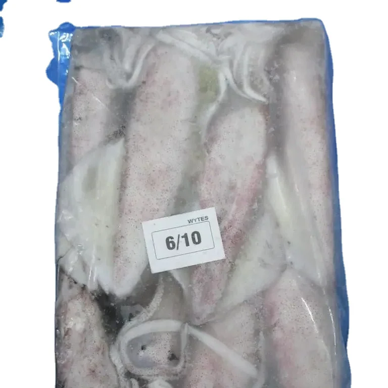 Fresh Quality Frozen Loligo Squid Whole Round Good Packing And Natural ...