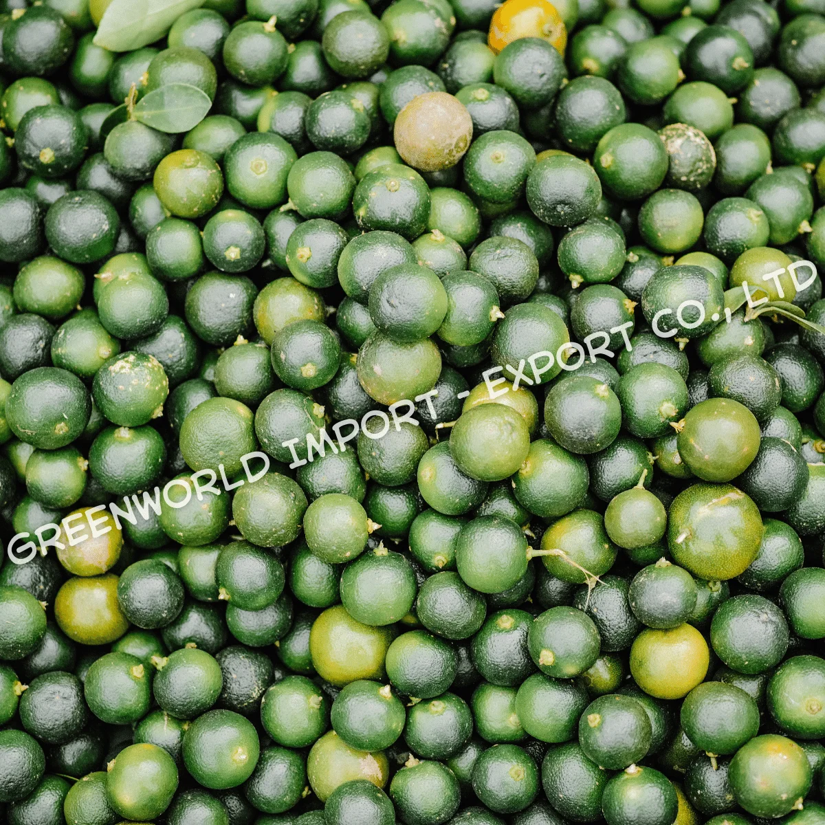 High Quality Vietnamese Calamansi Puree - 100% Fresh Calamansi - Lowest ...