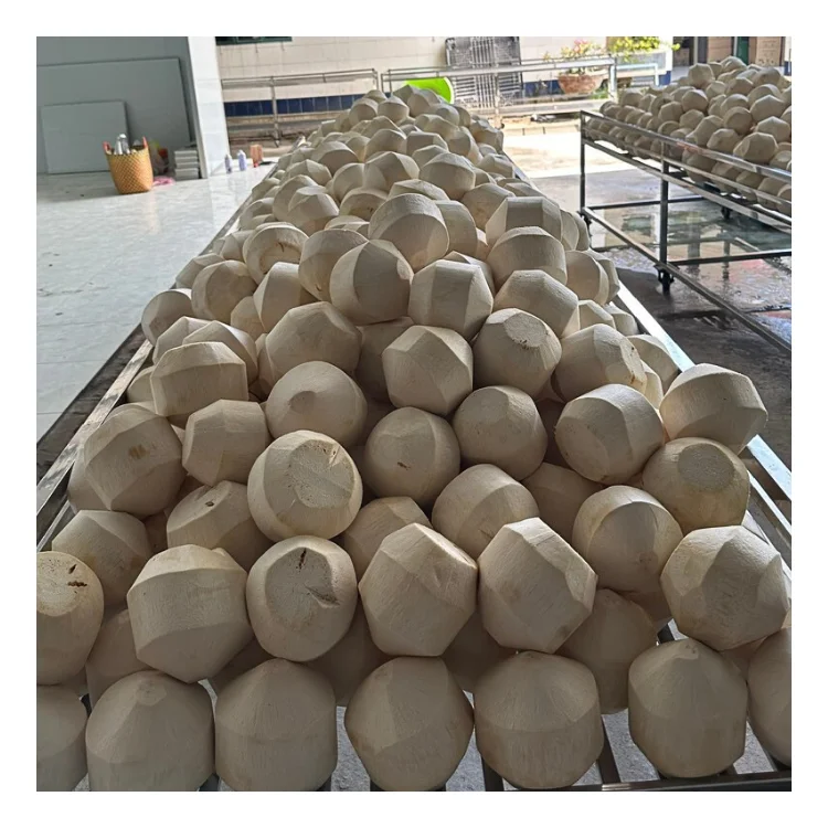 Green Coconut Fresh Fruit Coconut 100% Good For Healthy Export Organic ...