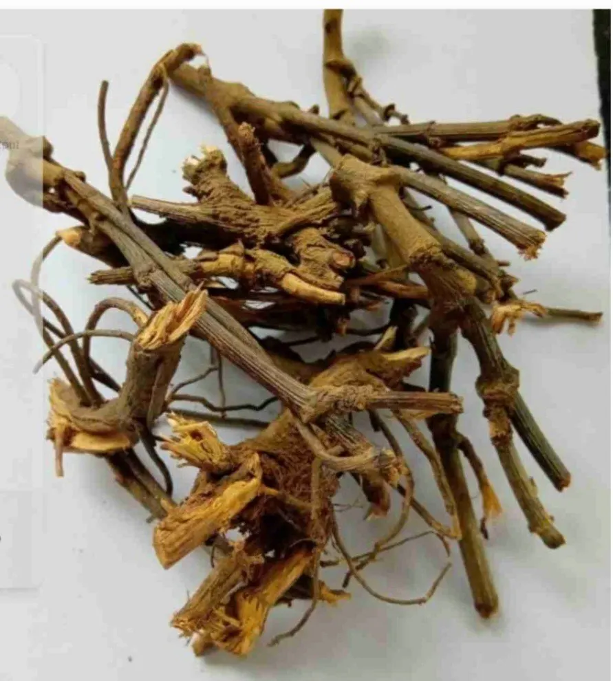 Chitrak CO2 Extract Premium Plant Extract Product| Alibaba.com