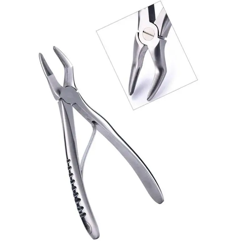 Dental Extraction of Upper Premolar Teeth Extracting Forceps, Surgical ...