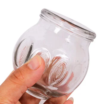 Chinese Different Sizes Traditional Glass Cupping Therapy Set Glass ...