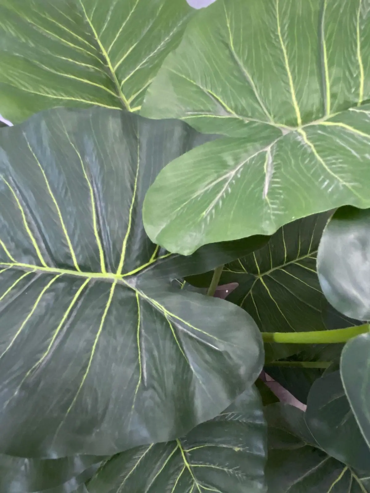 High Quality Artificial Colocasia Plant Supper Selling With Pvc ...