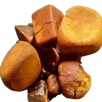 Quality Dried Cow Ox Gallstones | Cattle Gallstones | Cow Gallstones ...